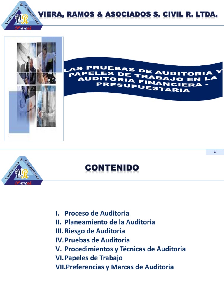 Pruebas de Auditoria y Papeles de Trabajo I | PDF | Auditoría | Presupuesto Pruebas de Auditoria y Papeles de Trabajo I | PDF | Auditoría | Presupuesto