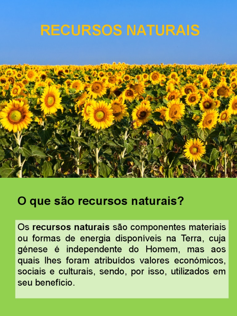 Classificação dos recursos naturais | PDF | Energia renovável | Natureza