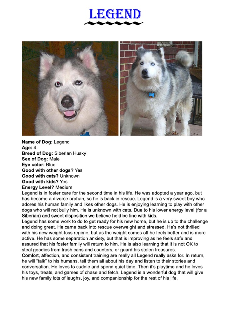 Legend Flyer | PDF