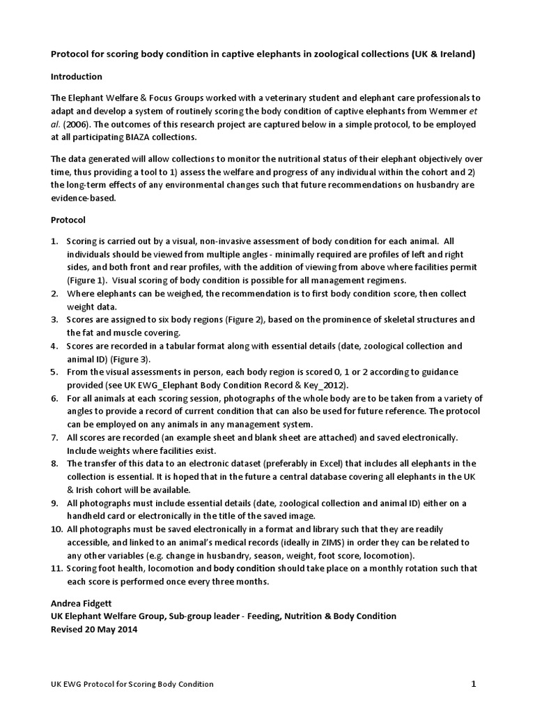 UK Elephant Body Condition Scoring Protocol | PDF | Elephant