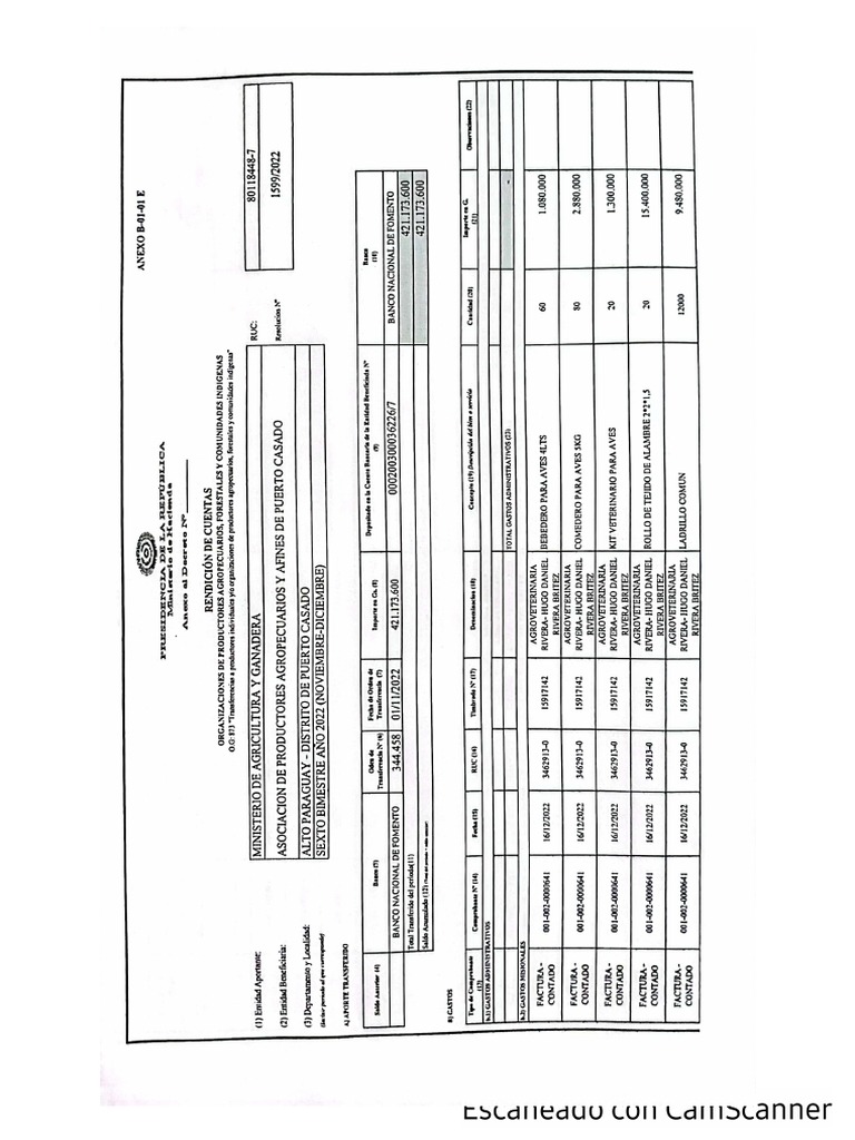 Anexo B-01-01e Rectificativa | PDF Anexo B-01-01e Rectificativa | PDF