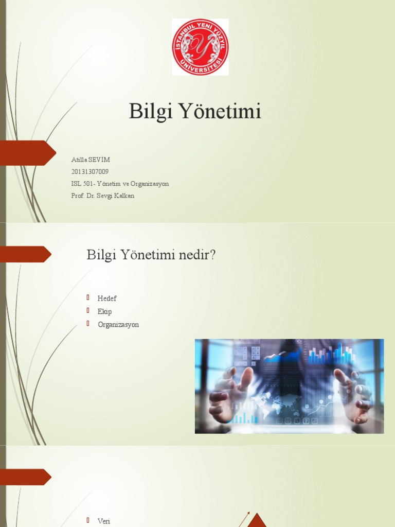 Bilgi Yönetimi Sunum | PDF