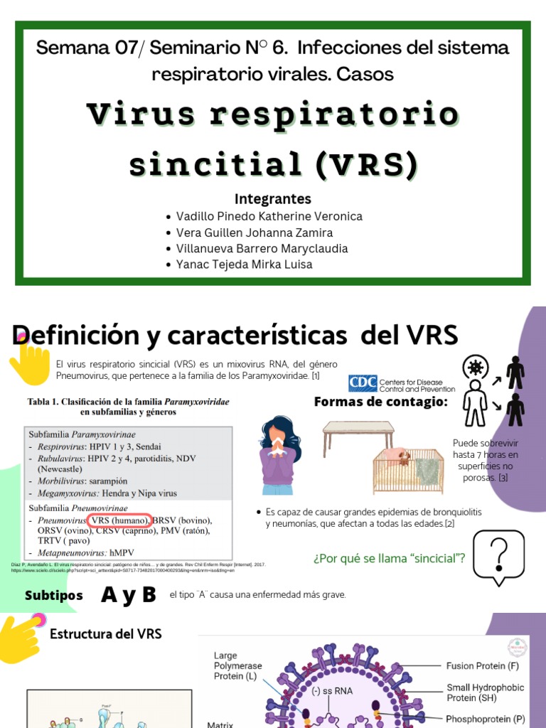 Virus Sincitial Respiratorio: Características y Tratamiento | PDF ...