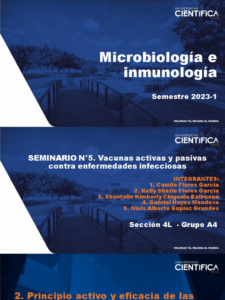 SEMINARIO N°5. Vacunas Activas y Pasivas Contra Enfermedades Infecciosas | Descargar gratis PDF ...