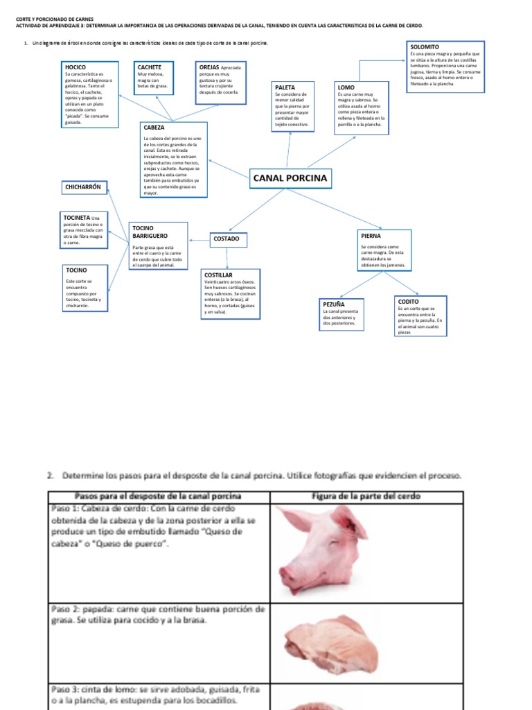 Corte y Desposte de Carne de Cerdo | PDF | Cerdo | Tocino