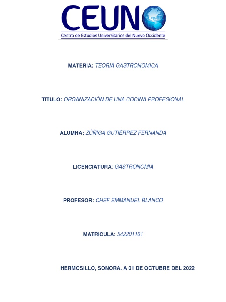 Tarea 1 | PDF | Carne | Salsa