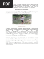 El Vestuario de Los Pech | PDF