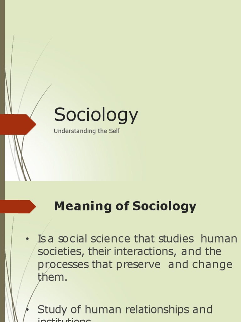 Sociological Self | PDF | Social Science | Philosophy