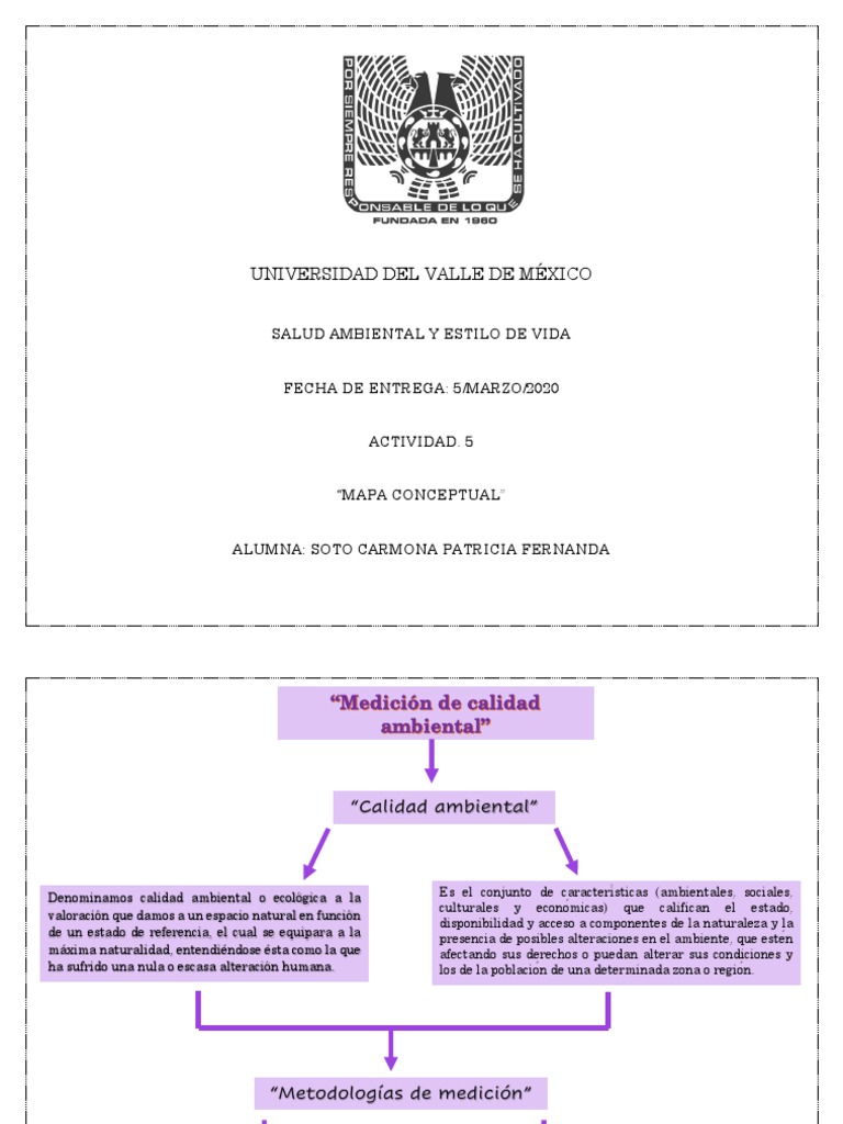 #5 SCPF | PDF | Contaminación | La contaminación del aire