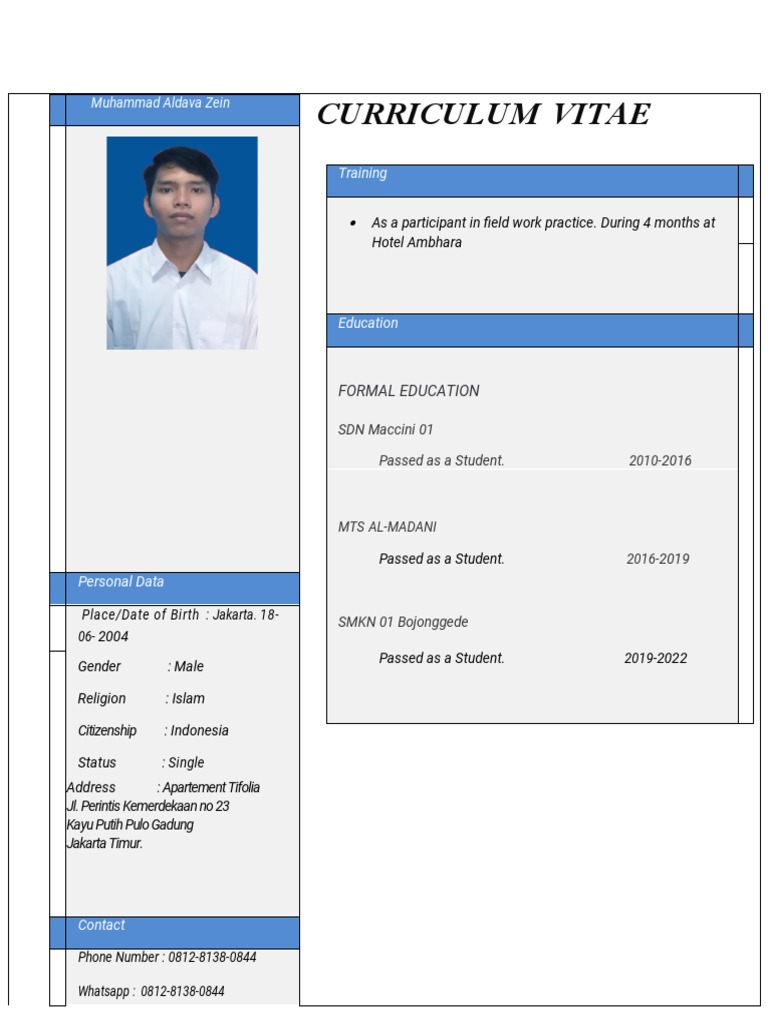 Curriculum Vitae of Muhammad Aldava Zein | PDF