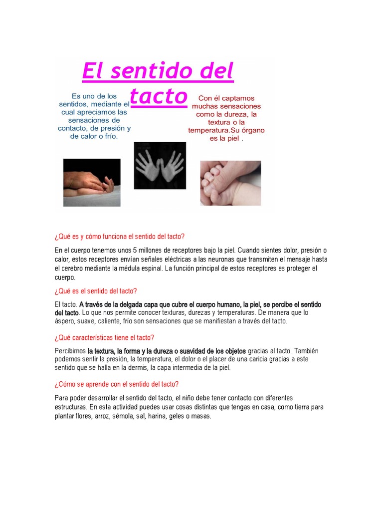 Qué Es y Cómo Funciona El Sentido Del Tacto | PDF