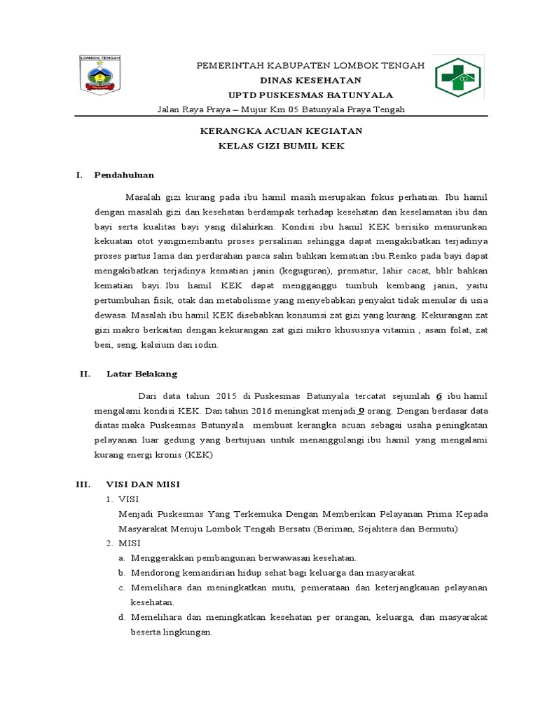 Kerangka Acuan Kelas Bumil Gizi Kek | PDF