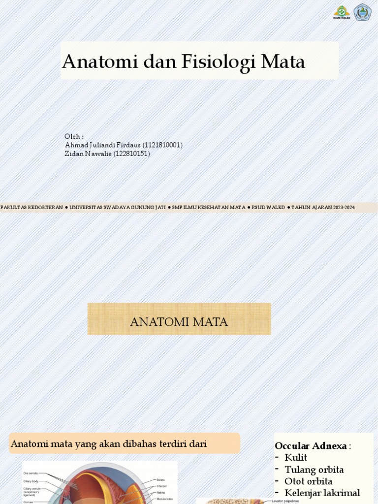 Anatomi Dan Fisiologi Mata (Ahmad Juliandi Firdaus & Zidan Nawalie) | PDF