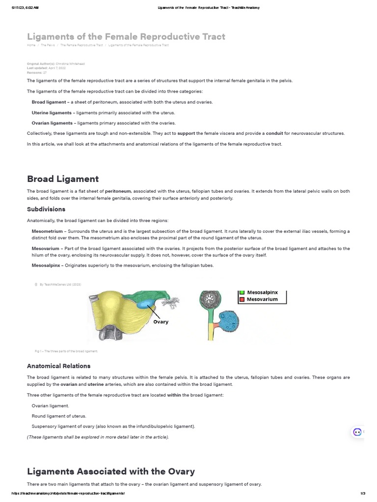 Ligaments of The Female Reproductive Tract - TeachMeAnatomy | PDF ...