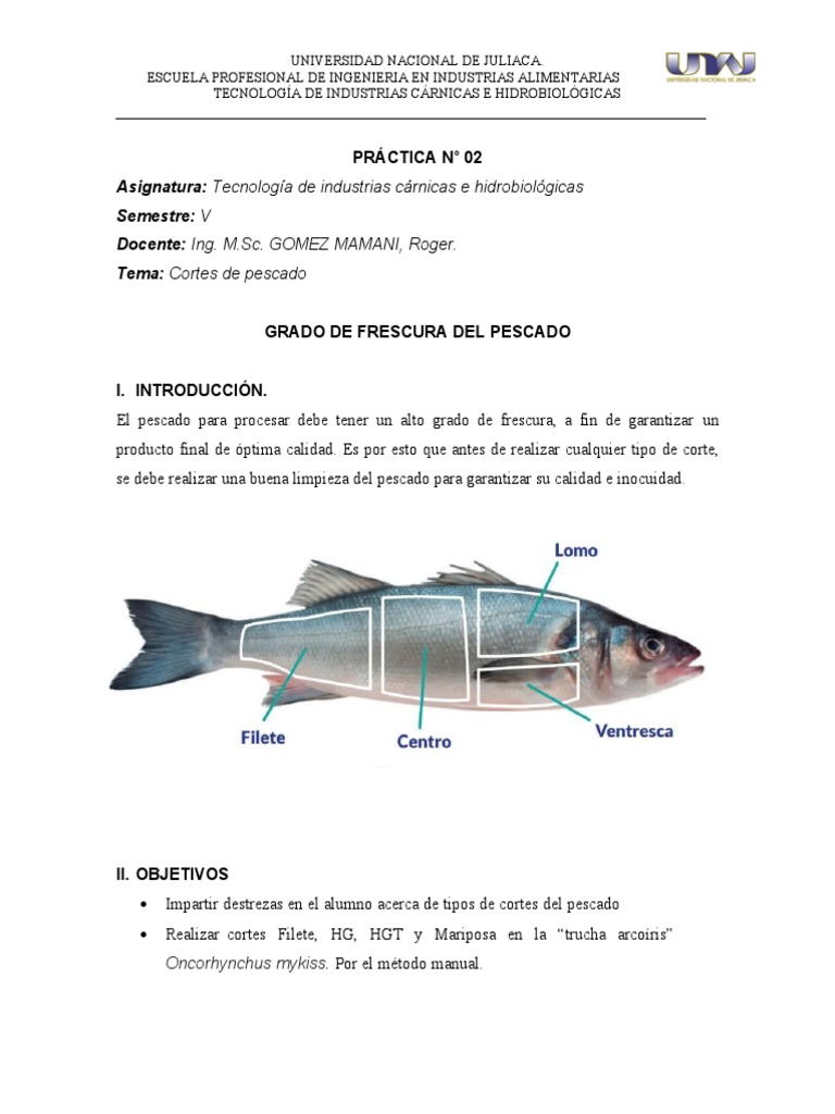 PRÁCTICA #2 Tipo de Cortes Del Pescado | PDF | Carne | Cuchillo