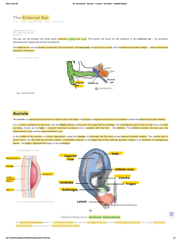 The External Ear Structure Function Innervation Teachmeanatomy Pdf Ear Sensory Organs