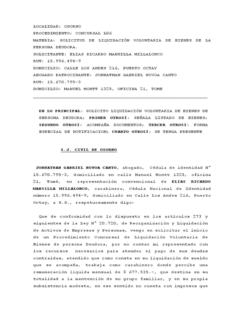 Solicitud de Liquidación Voluntaria de Bienes de La Persona Deudora ...