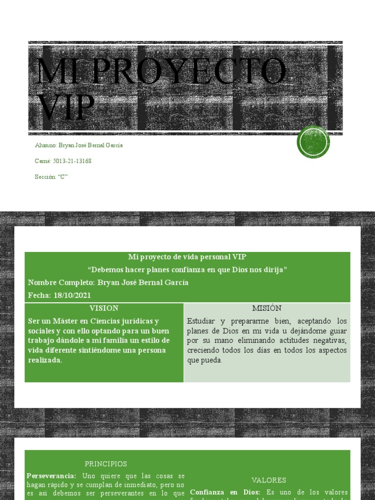 Mi Proyecto vip | PDF