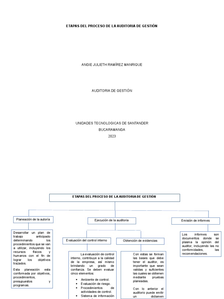 Etapas Del Proceso de La Auditoria de Gestión | PDF | Auditoría | Business