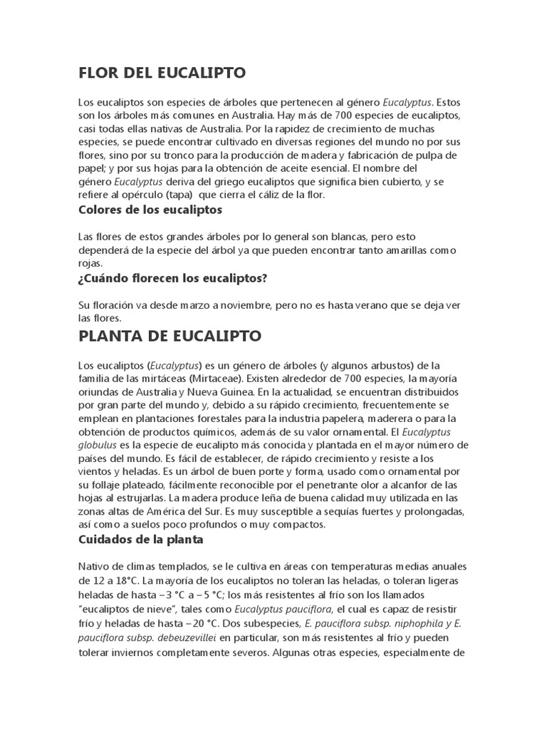 EUCALIPTO | PDF | Eucalipto | Plantas
