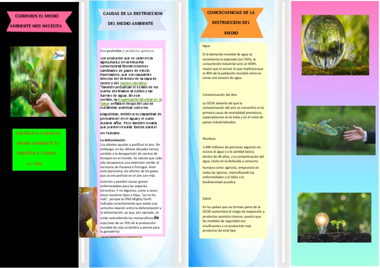 Cuidemos El Medio Ambiente Nos Necesita Causas de La Destruccion Del ...