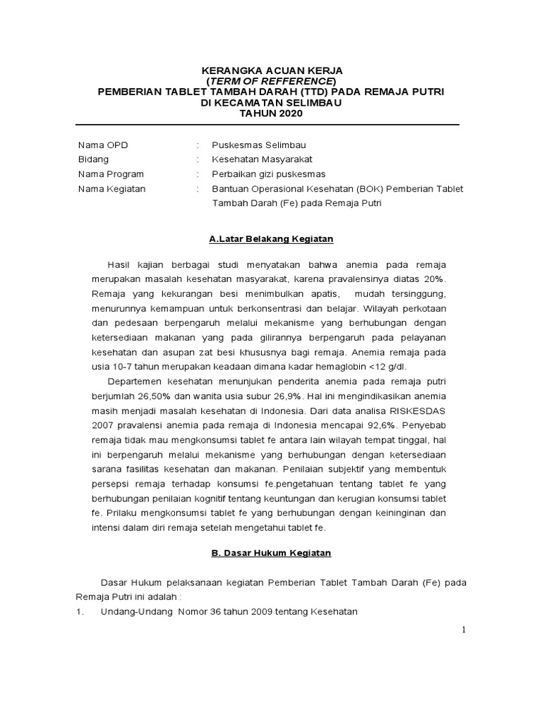 KAK Pemberian TTD Rematri | PDF