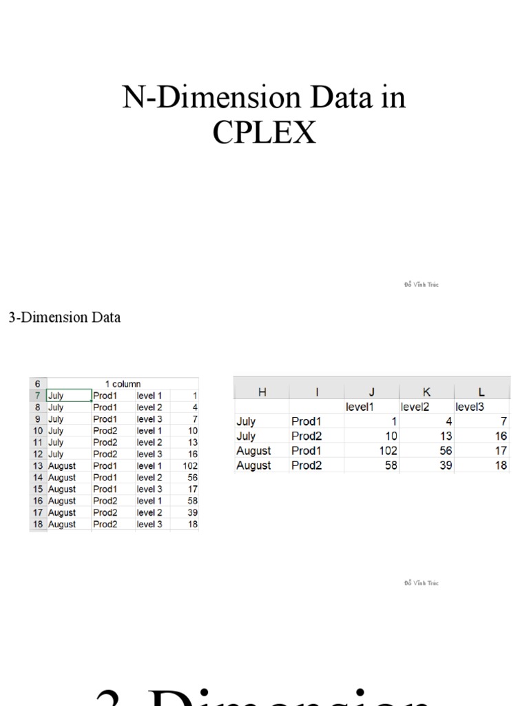 CPLEX N-Dimension Data Guide | PDF
