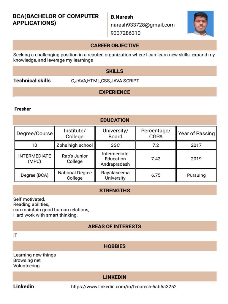 Web Development | PDF | World Wide Web | Internet & Web