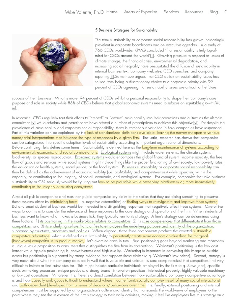 Five Business Strategies For Sustainability - Mike Valente | PDF ...