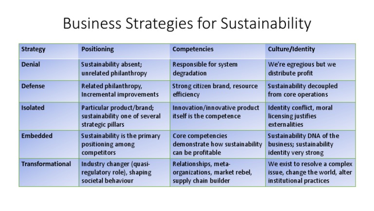Summary Table Of Strategies For Sustainability Pdf