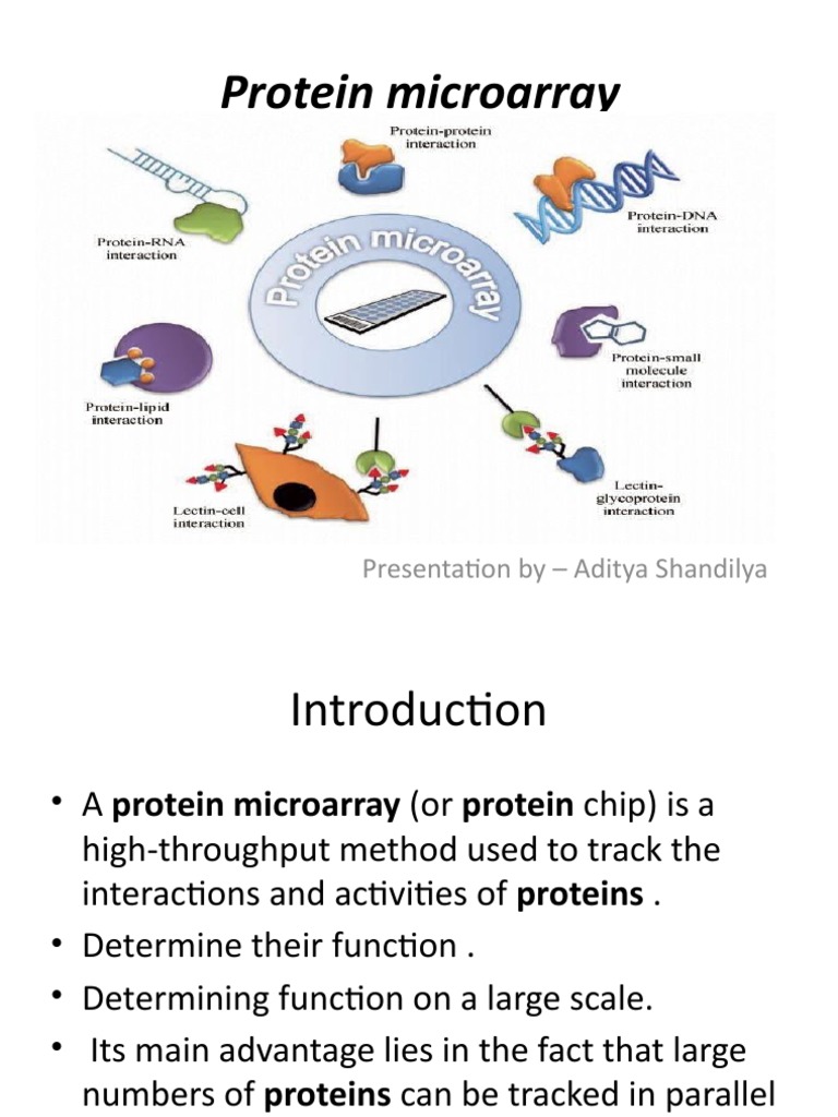 Protein Microarray | PDF | Protein Purification | Antibody