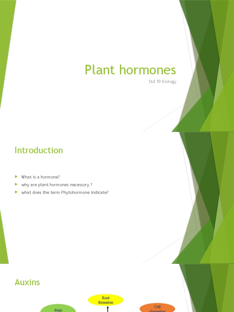 Plant Hormones | PDF