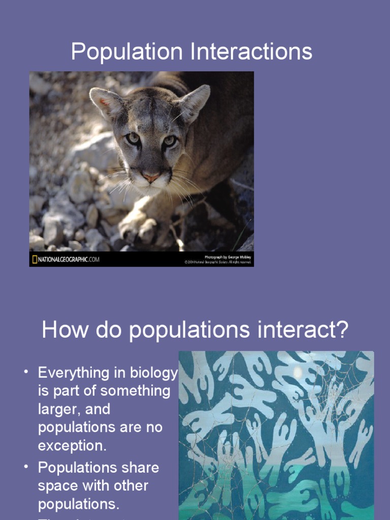Population Interactions | PDF | Ecological Niche | Predation