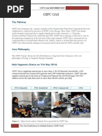 PNGRB Guidelines | PDF | Natural Gas | Pipeline Transport