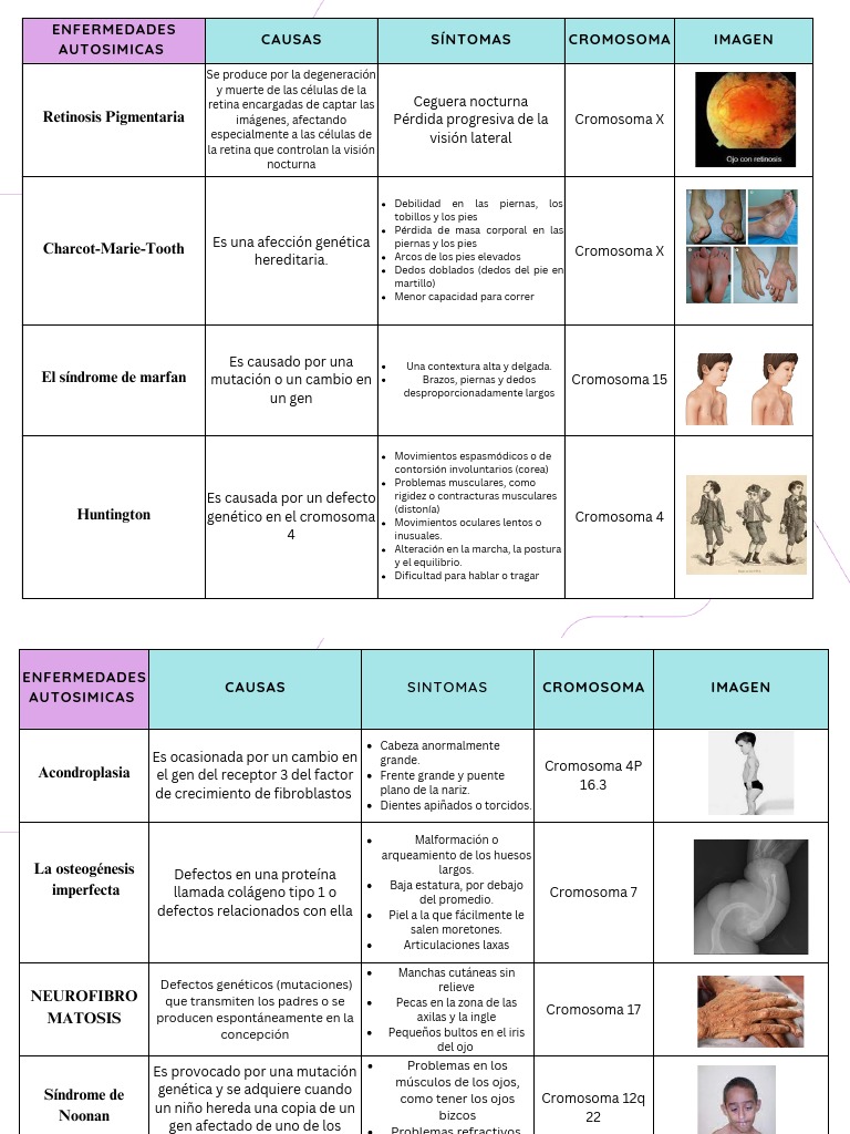 Cuadro Comparativo | PDF | Enfermedades y trastornos | Especialidades Medicas