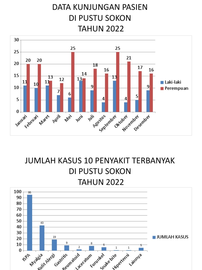 Data Kunjungan Pasien Pustu 2022 | PDF