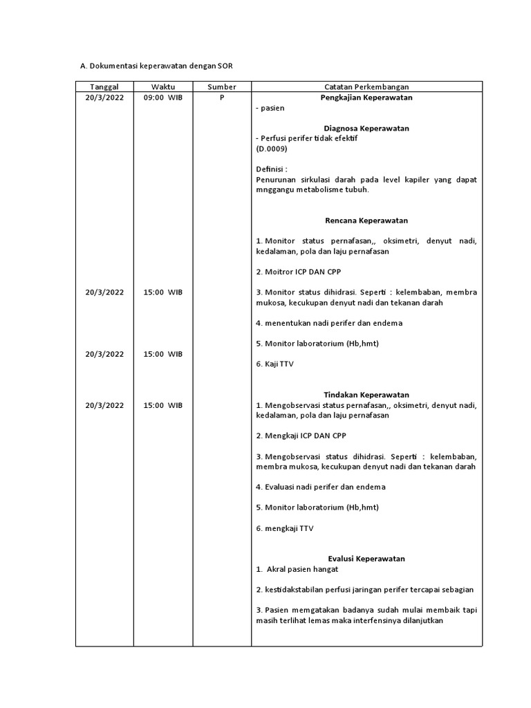 Dokumentasi Keperawatan Dengan SOR | PDF