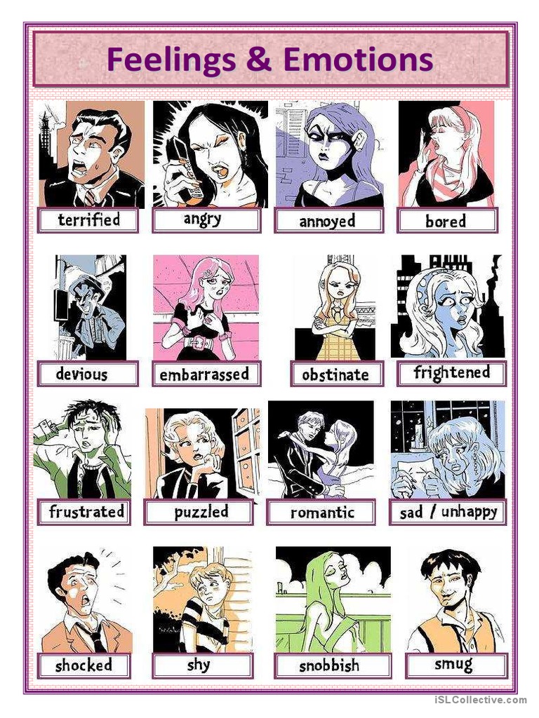Feelings & Emotions Pictionary | PDF