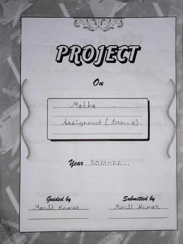 Class 9 Maths Assignment Term 2 | PDF