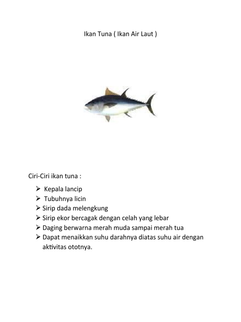 Ciri-Ciri Ikan Tuna yang Unik | PDF