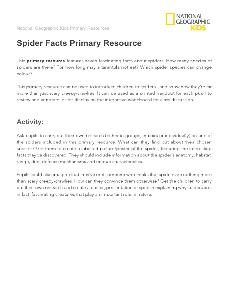 Spider Facts Primary Resource Stimulus Sheet | PDF