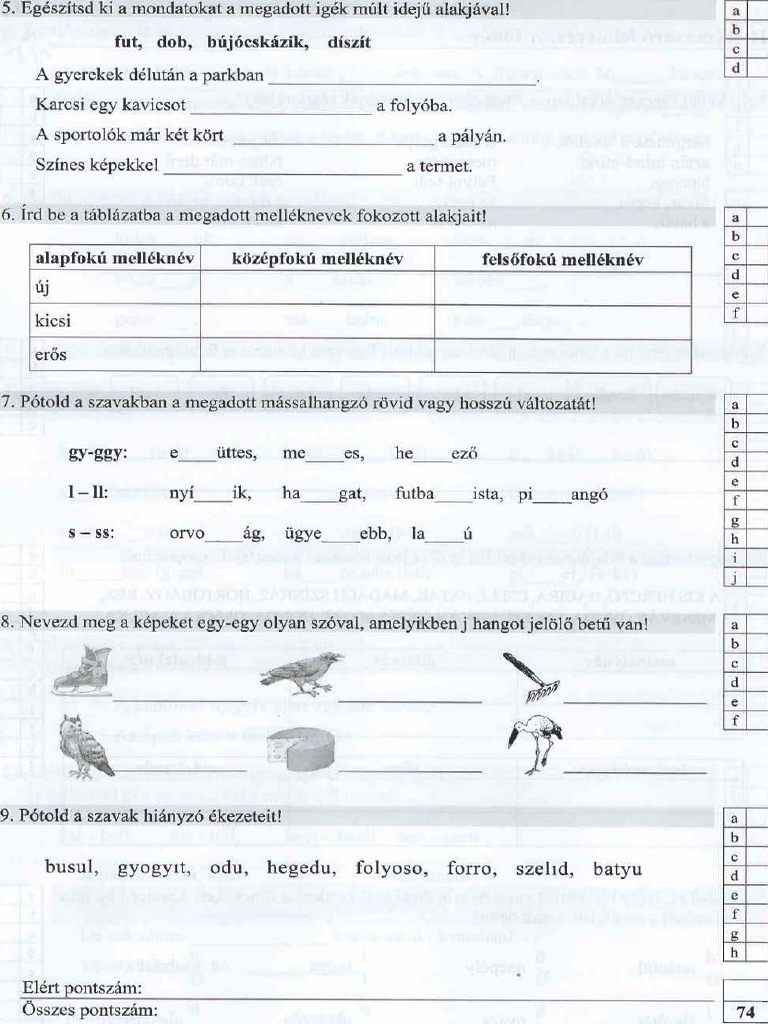 IGE Nyelvtan Felmérő 4. Osztály | PDF