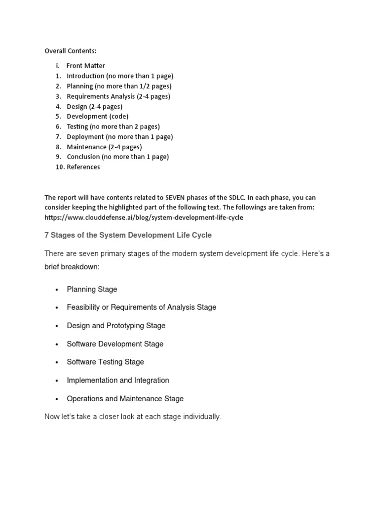 Project Report | PDF | Software Bug | Information Technology