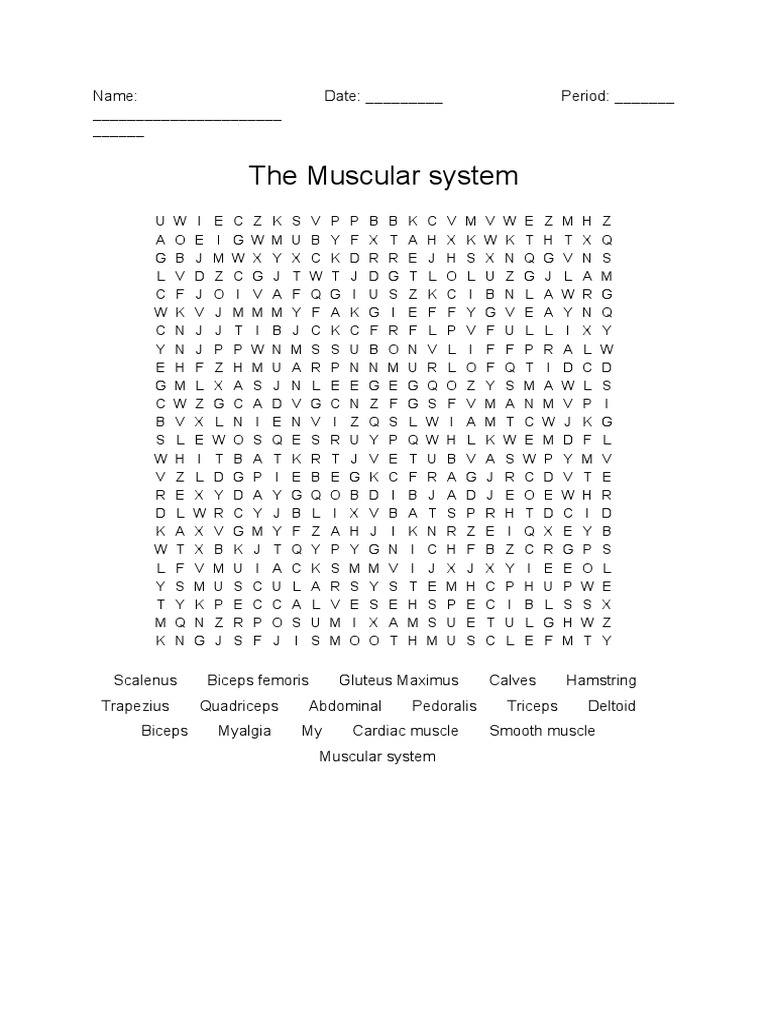 The Muscular System 8aea1 61648e10 | Download Free PDF ...