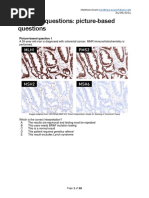 MMR IHC Panel InterpretationGuide | PDF | Immunohistochemistry ...