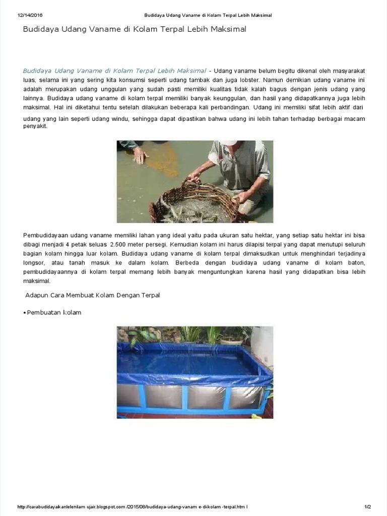 PDF Budidaya Udang Vaname Di Kolam Terpal Lebih Maksimal PDF | PDF