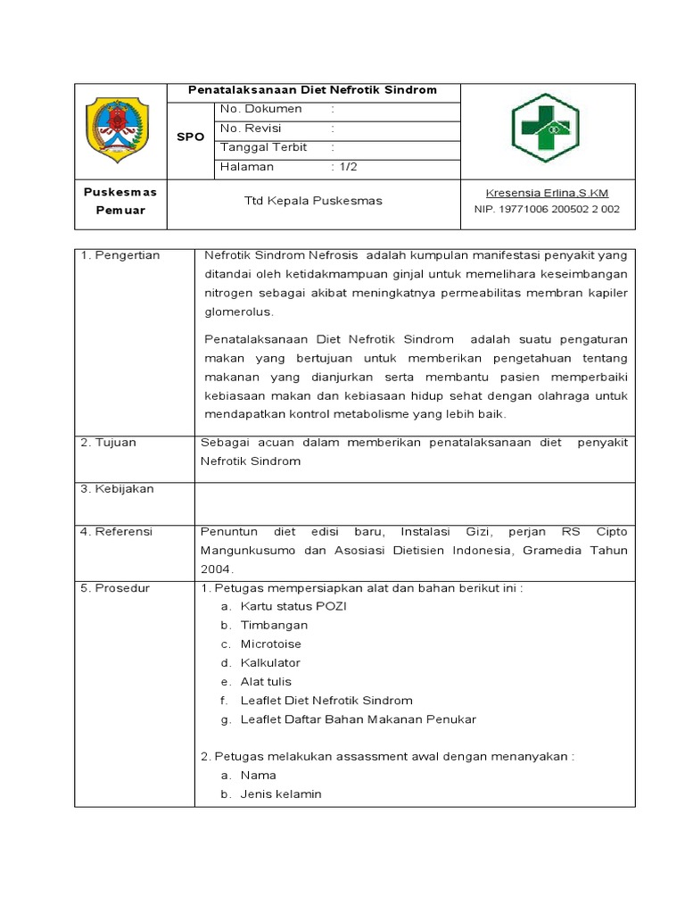 Spo Diet Nefrotik Sindrom | PDF