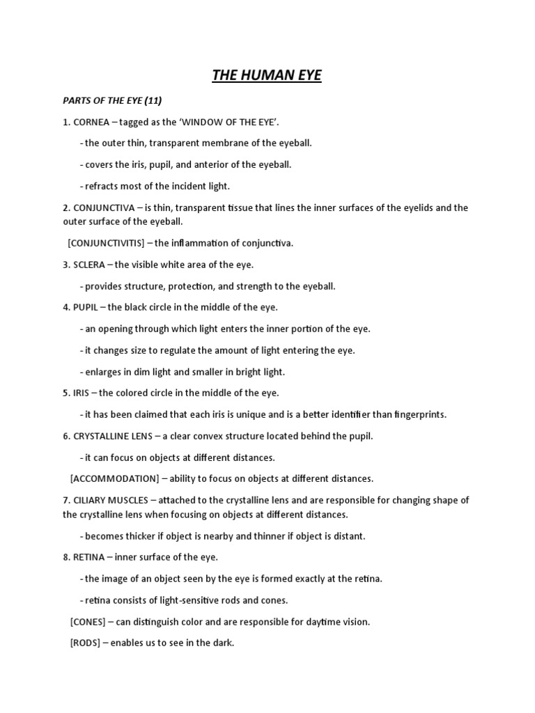 The Human Eye | PDF | Human Eye | Eye