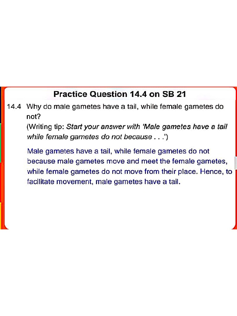 STD-8 Science 10-07-21 | PDF