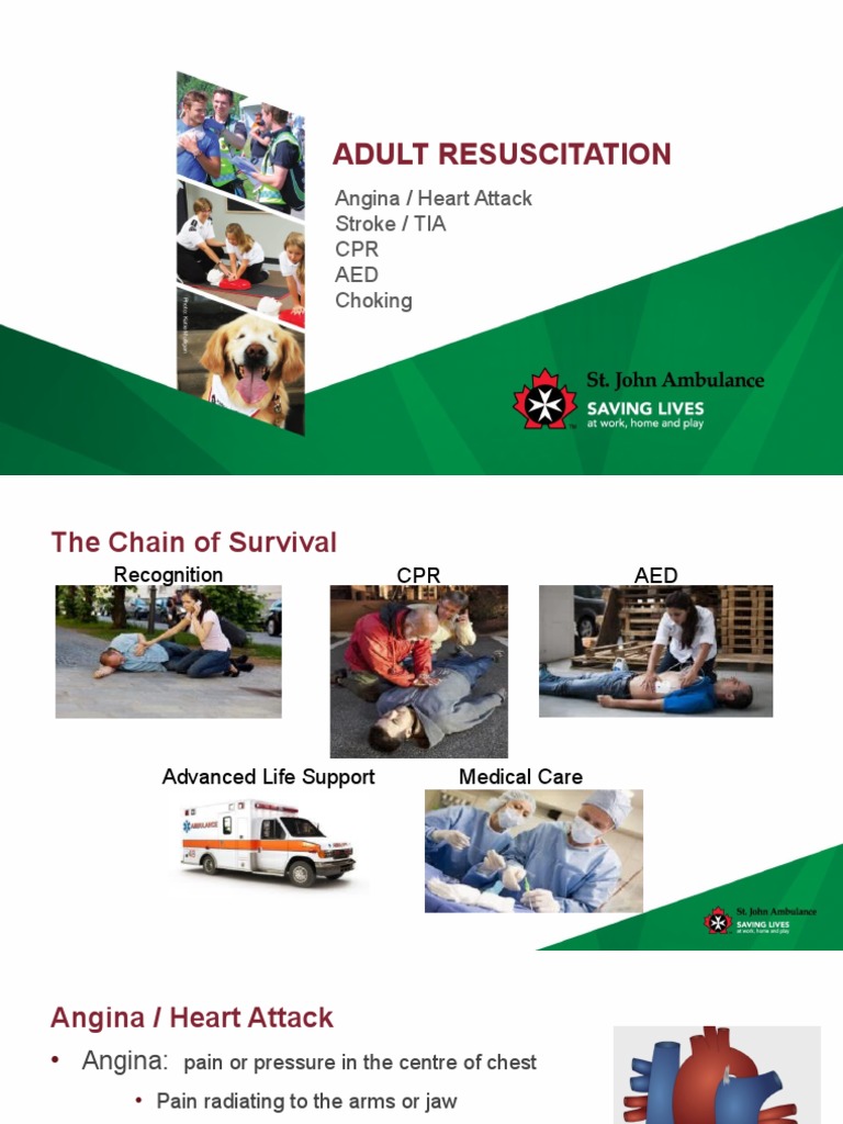 Lesson 2 Adult Resuscitation v3 1 | PDF | Cardiopulmonary Resuscitation ...